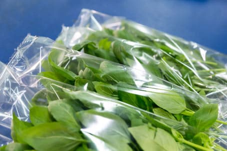 Genesis Herbs – The future of fresh herb cultivation